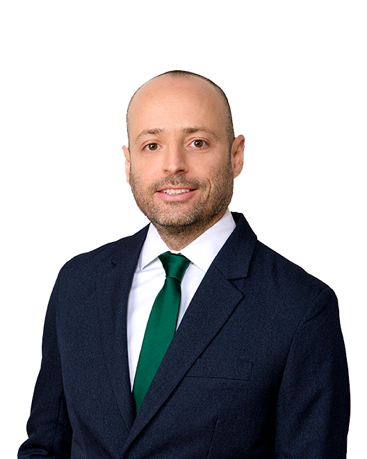 Dan Litvin - Garwin Gerstein & Fisher LLP